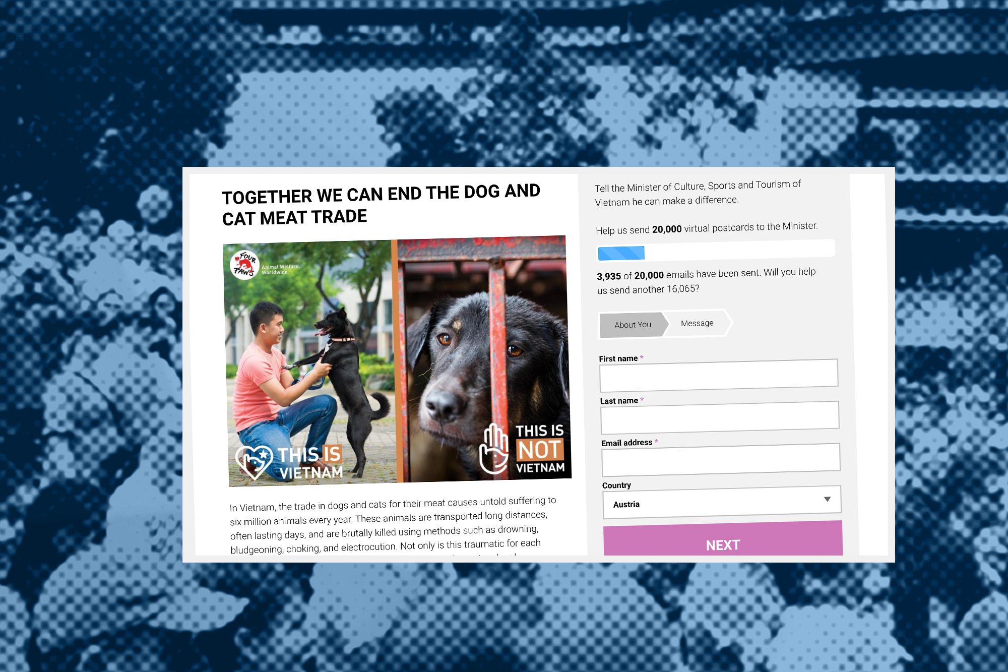 FOUR PAWS: choose your e-postcard